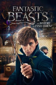 Fantastic Beasts and Where to Find Them Movie Review | Common Sense Media