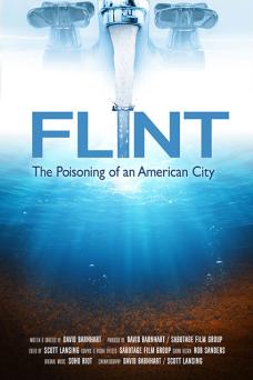 Flint: The Poisoning of an American City Movie Review | Common Sense Media