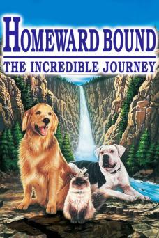 A Dog's Way Home Movie Review | Common Sense Media