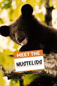 Meet the Mustelids Movie Review | Common Sense Media