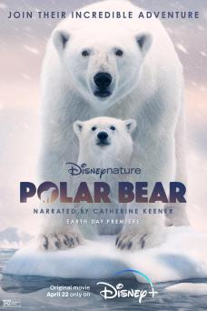 Polar Bear Movie Review | Common Sense Media