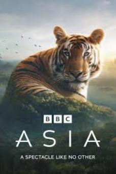 Asia TV Review | Common Sense Media