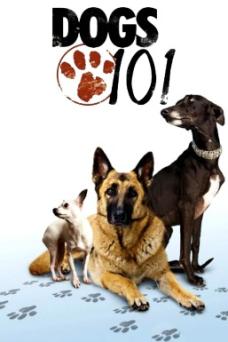 Dogs 101 TV Review | Common Sense Media