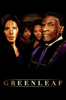 Greenleaf TV Review | Common Sense Media