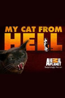 My Cat from Hell TV Review | Common Sense Media