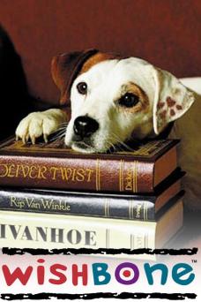 Kid Stew TV Review | Common Sense Media