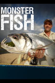 Monster Fish TV Review | Common Sense Media