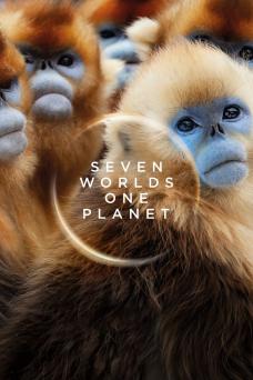 Seven Worlds, One Planet TV Review | Common Sense Media