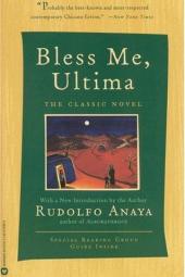 Under the Mesquite Book Review | Common Sense Media