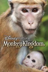 Best Animal Documentaries | Common Sense Media