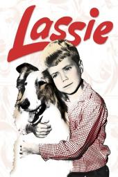 Classic Streaming TV Shows | Common Sense Media