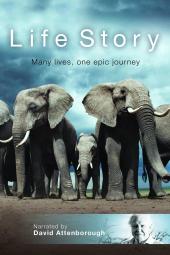Life Story TV Review | Common Sense Media