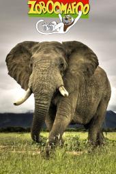 Best Animal TV Shows for Kids | Common Sense Media