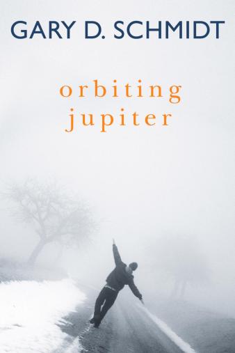 Orbiting Jupiter Book Review | Common Sense Media