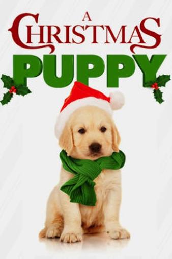 Christmas Puppy Movie Review | Common Sense Media
