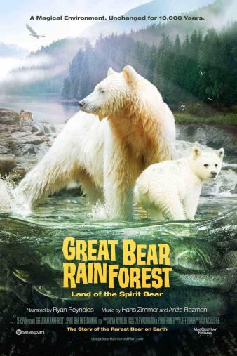 Great Bear Rainforest: Land of the Spirit Bear Movie Review | Common ...