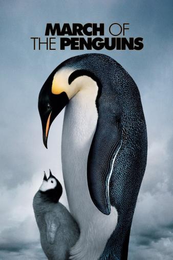 March of the Penguins Movie Review | Common Sense Media