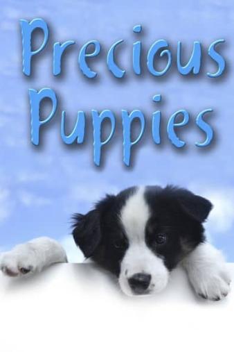 Precious Puppies Movie Review | Common Sense Media
