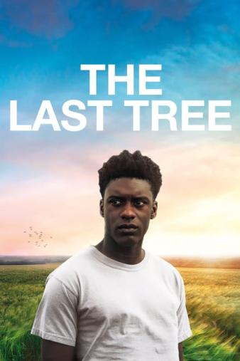 The Last Tree Movie Review | Common Sense Media
