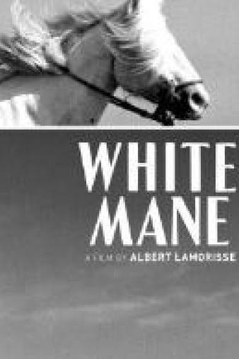 White Mane Movie Review | Common Sense Media