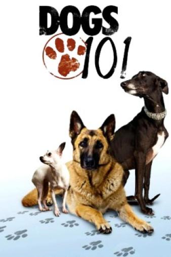 Dogs 101 TV Review | Common Sense Media