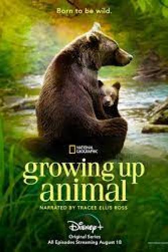 Growing Up Animal TV Review | Common Sense Media