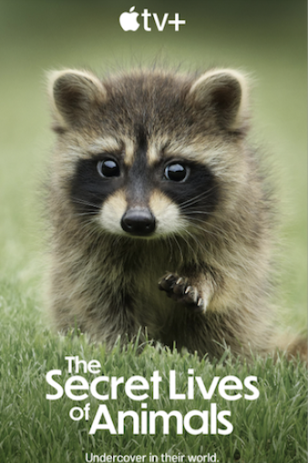 The Secret Lives of Animals TV Review | Common Sense Media