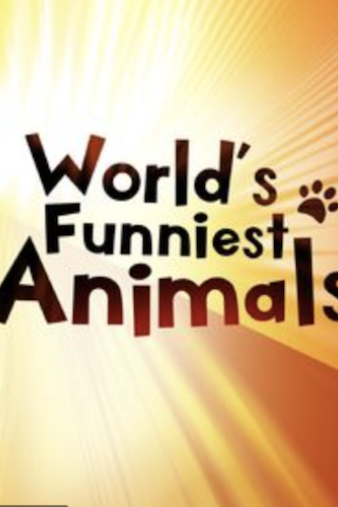 World's Funniest Animals TV Review | Common Sense Media
