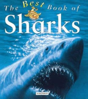 The Best Book of Sharks Book Review | Common Sense Media