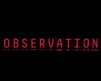 Observation Game Review | Common Sense Media